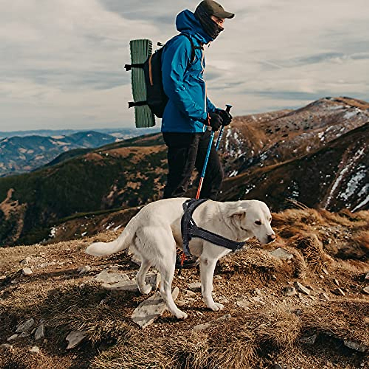 ULTECHNOVO Dog Harness Nylon Dog Vest pet Chest Harness pet Supplies