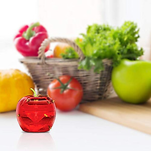 Fruit Fly Traps for Indoors by Raid | 2 Lures + 2 Refills | Effective Fruit Fly Trap for Indoor Use | Fruit Fly Killer & Gnat Traps for House Indoor | Easy to Use & Safe Food-Based Lure Fly Catcher