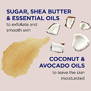 Dr Teal's Shea Sugar Body Scrub, Coconut Oil with Essential Oils, 19 oz (Pack of 3)