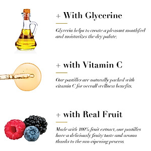 Dr. Doolittle’s Sugar Free Soft Fruit Pastilles for Voice and Throat, Wild Berries Flavor, Multipack of 2.12 Ounce Tin, 3 Pack and .33 Ounce Travel Size Bag, 20 Pack