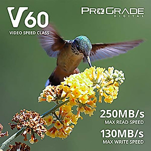 Prograde Digital SD UHS-II 128GB Card V60 –Up to 130MB/s Write Speed and 250 MB/s Read Speed | for Professional Vloggers, Filmmakers, Photographers & Content Curators