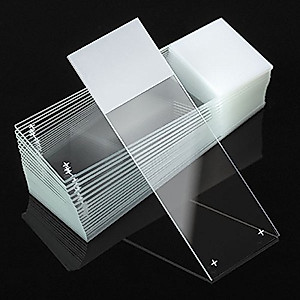 Globe Scientific Diamond Charged Microscope Slides, 1358W, White Frosted, Optical White Glass, Ground Edges, 90° Corners, 25mm x 75mm, Pre-Cleaned, 72/Box, 1440/CS