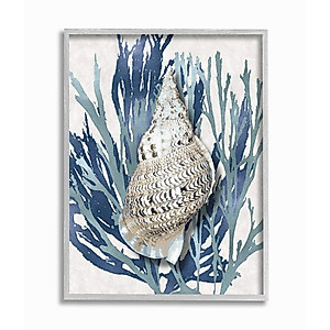 Stupell Industries Shell Coral Blue Beach Design, Designed by Caroline Kelly Wall Art, 11 x 14, Grey Framed