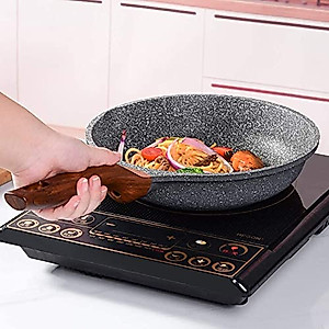 Caannasweis 9.5 Inch with Lid Nonstick Frying Pan Skillet Induction Compatible Stone Cookware Chef's Pan Healthy Egg Omelette Pan PFOA Free