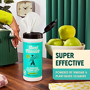 Aunt Fannie's Natural Cleaning Vinegar Wipes, Multipurpose Surface Cleaner, Eucalyptus Scent, 35 Count (Pack of 1), Packaging May Vary