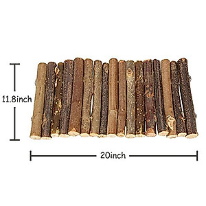 PINVNBY Guinea Pig Wooden Ladder Bridge Rabbits Hideout, House, Tunnel,Rodents Chew Toys for Bunny,Chinchillas,Hedgehogs,Ferrets,Rat and Small Animals-Extra Large(11.8 in X 20 in)