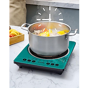 TYEMUI Induction Cooktop Hot Plates for Cooking Electric Single Burner Stove Portable Induction Cooktop with Fast Heating Mode