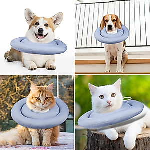 Abbylike Cat Cone Collar and Surgical Recovery Suit Set Cat Neck Donut Collar Soft Elizabeth Recovery Collar Cone E Collar Alternative for Small Pets Dog Kitten Puppy After Surgery Wear (X-Large)