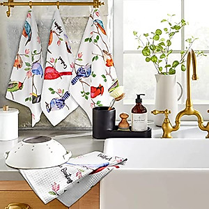 Vansolinne Birds Kitchen Towels Birds On Branch Dish Towels Set of 4 Cardinal Hummingbird Bluejay Summer Absorbent Hand Towels Tea Towels Gifts for Bird Lovers Women for Cleaning Drying Cooking Baking