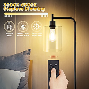 Litake Industrial Floor Lamp, Dimmable Modern Standing Lamp with Clear Glass Shade, Black Tall Lamp with Remote & Foot Control, LED Bright Corner Lamp with 6W Bulb for Living Room Bedroom Office