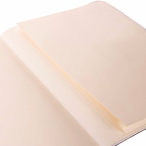 Graphique Apollo Vegan Leather Journal | Hardcover Notebook | 192 Lined Pages | Inner Pocket, Pen Loop, Elastic Closure | Work, Diary, Notes | 8” x 10”