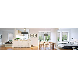 CHICOLOGY Blinds for Windows , Mini Blinds , Window Blinds , Door Blinds , Blinds & Shades , Camper Blinds , Mini Blinds for Windows , Horizontal Window Blinds , Gloss Gray, 48"W X 48"H