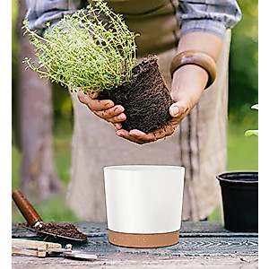 Plastic Plant Pots,6.5 inch Flower Planter Pots with Trays,Modern Stylish Indoor & Outdoor Garden Pots for All House Plants,Flowers,Herbs,Succulents (White, 6)