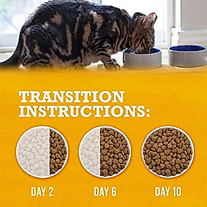 Purina Beyond Grain Free, Natural Dry Cat Food, Grain Free White Meat Chicken & Egg Recipe - 5 lb. Bag (Pack of 1)