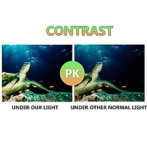 GOTOTOP 75 Watt UVA UVB Mercury Vapor Bulb/Light/Lamp for Reptile and Amphibian Use - Excellent Source of Heat and Light for UV and Basking