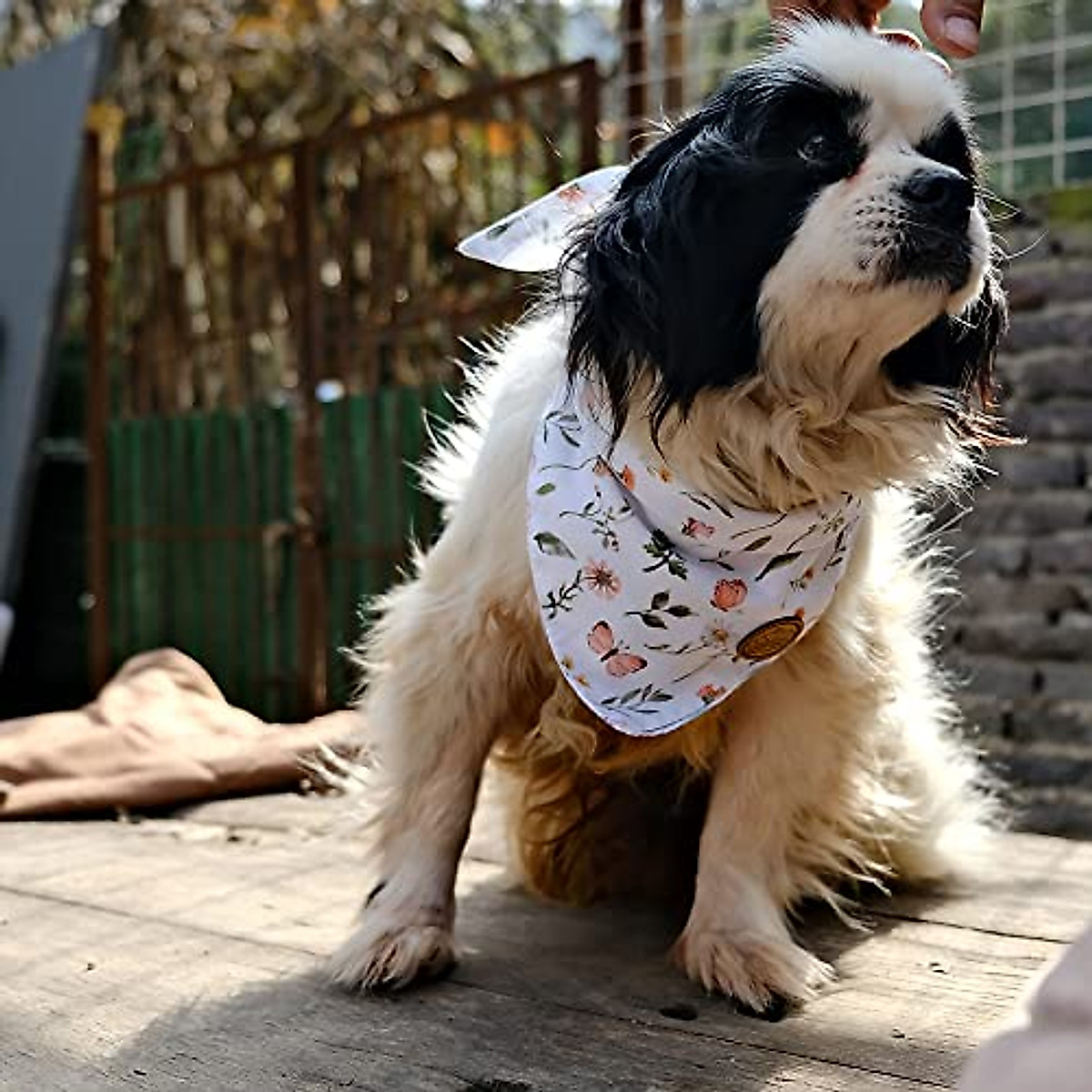 CROWNED BEAUTY Spring Dog Bandanas Reversible Large 2 Pack, Floral Donuts Set, Plaid Adjustable Triangle Holiday Pink Scarves for Medium Large Extra Large Dogs Pets DB33-L