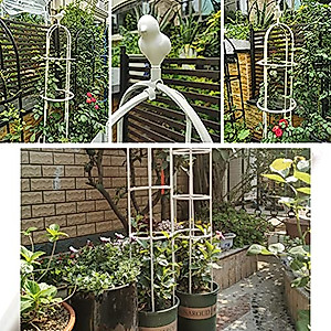 Garden Trellis for Climbing Plants, Rustproof Metal Pipe with Heavy Duty 6ft, Garden Outdoor Indoor Potted Plant Support（White）…
