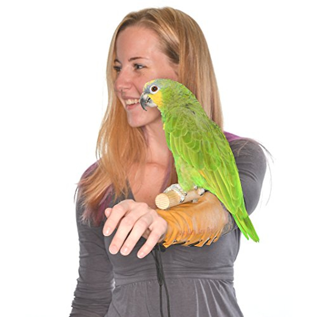 Avianweb™ Arm & Hand Perch (Large (1.5" Dowel))