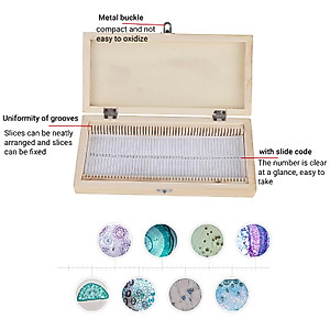 Biology Glass Prepared Microscope Slides Specimens Wooden Slide Storage Box Case