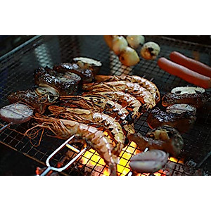 CAMPINGMOON Stainless Steel Portable Camping Grill & 8pcs of 13.8-inch Long Double Prong BBQ Skewers MT-2+MK-8