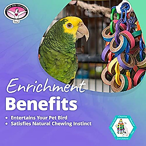 Super Bird Creations SB1107 Bagel Cascade Bird Toy, Large Bird Size, Refillable Bagels, 15” x 4.5”