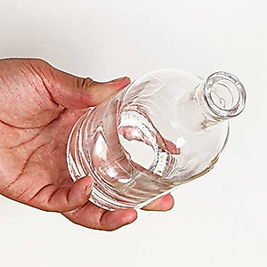 Danmu 12 Pack Glass Bottles, 12.6oz Hot Sauce Bottles,Glass Bottles with Lids,Wine Bottles,Sauce Bottles,Shrink Capsules Included,375ml Glass Bottles for Decorations, Party Favors