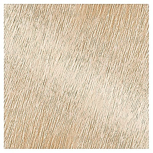 Garnier Nutrisse Ultra Color Hair Color and Anti-Brass Treatment, PL1 Ultra Pure Platinum, Pack of 2