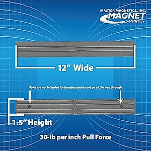 Master Magnetics Magnetic Tool Holder with Magnetic Mount - 12" Wide, 30 lb per inch Pull, Gray, 07576