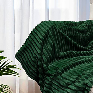 PAVILIA Cozy Fleece Blanket Throw | Fuzzy, Super Soft, Plush, Luxury Flannel Throw | Warm Ribbed Microfiber Blanket for Sofa Couch Bed (Emerald Green, 50x60 inches)