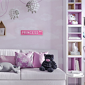 Girls Bedroom Decor | Princess Room Decor | Beautiful Princess Gifts | Pink Wall Decor | Princess Way Street Sign Gifts For Girls | Girl Birthday Gifts | Gifts For 4 Year Old Girl | Gifts From Grandma