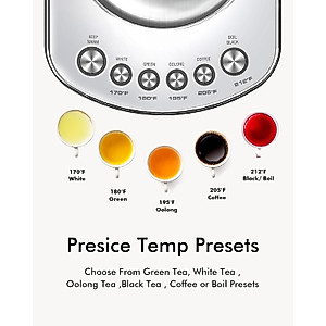 Longdeem Temp Control Electric Tea Kettle, 1.7L Stainless Steel Water Boiler & Heater, Fast Boiling 1500 Watts, Cordless Kettle with Auto-Shutoff, Boil-Dry Protection, LED Light, Silver