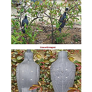 ZILIN Plastic Crow Decoy with Magnet, Ideal for Crow Control