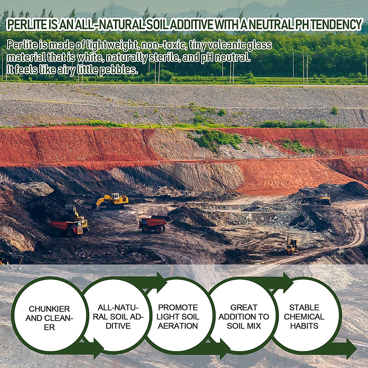 10QT Horticultural Perlite Bulk, Organic Perlite for Plants, Course Perlite for Gardening, for Plants Indoor, for Houseplants, to Promotes Soil Root Growth, and Water Drainage and Plant Growth(3-6mm)