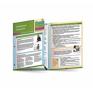 Attachment Essentials: A Mental Health Quick Reference Guide (Norton Series on Interpersonal Neurobiology)