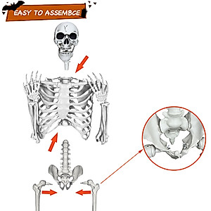 Lodou Halloween Poseable Skeleton,Adult Skeletons & Child Skeletons,Plastic Human Bones with Movable Joints for Halloween Graveyard Decorations (5.4ft & 3ft)