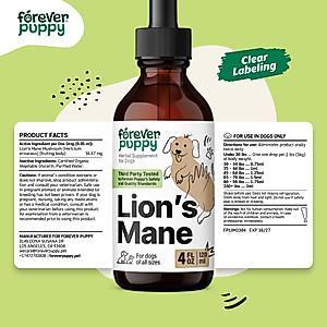 Lion's Mane Mushroom Supplement for Dogs - Liquid Drops for Dog Brain Health w/Lions Mane - Vegan Dog Supplements - Vitamins for Essential Brain Support & Focus - No Preservatives - 4 oz