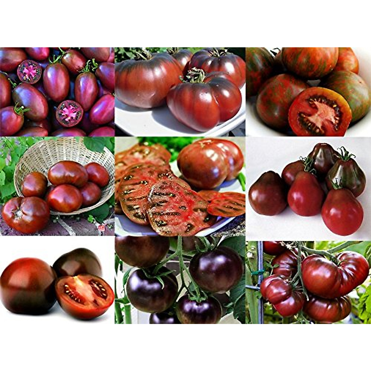 Mixed Seeds! 30+ Black Tomato Seeds, Mix of 9 Varieties, Heirloom Non-GMO, Black Prince, Cherokee Purple, Black Cherry, from USA