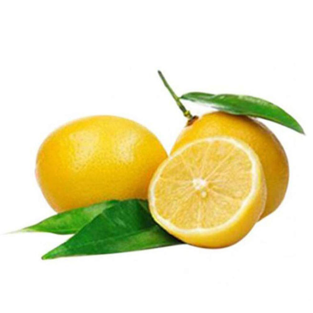 20pcs/Bag Lemon Tree Seeds Plants Fruit Seeds High Survival Rate Fruit Tree Seeds Plant for Home Garden Backyard