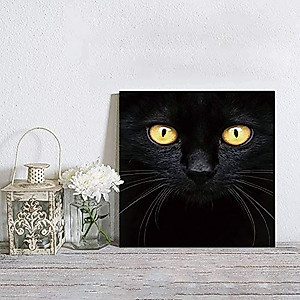 HIYPLAY Canvas Wall Art Cue Black Cat in The Dark Picture Modern Artwork Printed on Canvas - Oil Painting for Wall Decor - Stretched and Framed Ready to Hang(12" x 12")