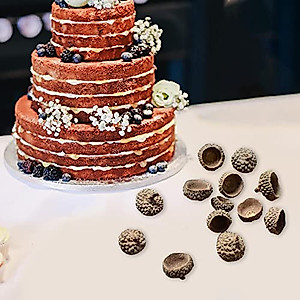 SM SunniMix 100x Natural Acorns Real Rustic Acorns Caps Decorative Vase Fillers Home DIY Thanksgiving Christmas Kitchen Autumn Table Scatter Photo Props Decors - Natural Acorn Caps