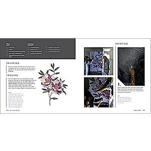 Wonder Walls: How to Transform Your Space with Colorful Geometrics, Graphic Lettering, and Other Fabulous Paint Techniques