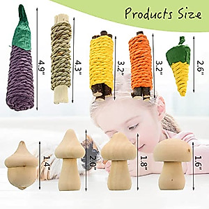 Vehomy Guinea Pig Grass Tunnel Toy Hamster Natural Hideaway Tunnel Tubes and 9Pcs Small Pet Chewing Toys Small Animal Grass House with 5 Entrances for Guinea Pig Syrian Hamster Chinchillas Gerbils