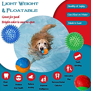 Cdyzqikm 3.5in Squeaky Dog Toy Ball Pack High Bouncy Ball for Interactive Playing Spikys Pet Balls for Teeth Cleaning Durable Tough Chew Toys for Medium & Large Dogs Fetch Training Teething Balls 4Pcs