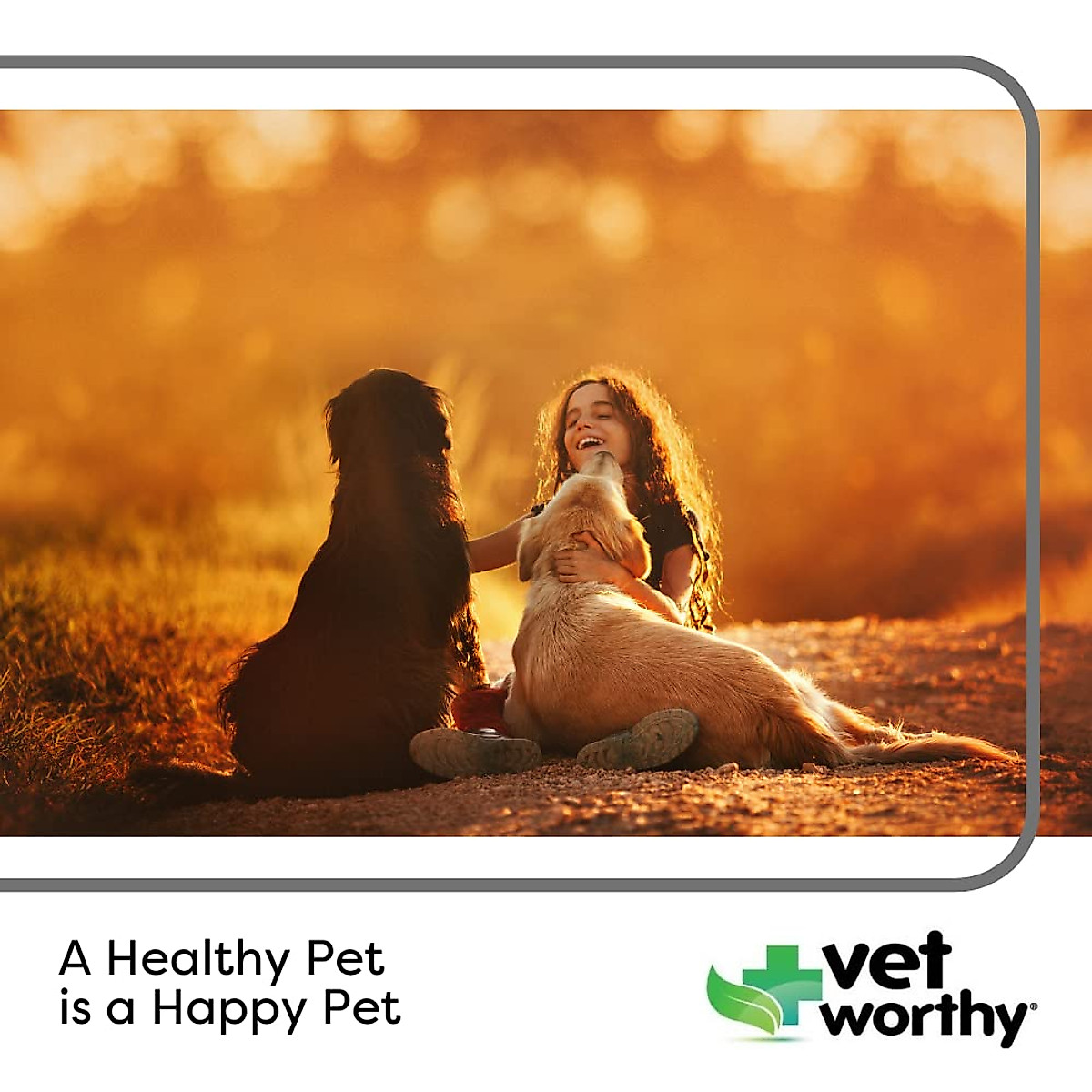 Vet Worthy Calming Aid Dog Soft Chew - Flavored Chewable Treats for Dogs to Manage Normal Stress - Dog Calming Chews for Storm Anxiety, Grooming, and Fireworks - Poultry Flavored, 45-Count