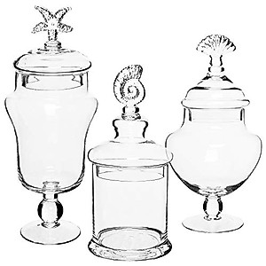 MyGift Clear Glass Apothecary Jars with Lid, Decorative Seashell Design Bathroom Canister, Footed Candy Buffet Containers, Set of 3