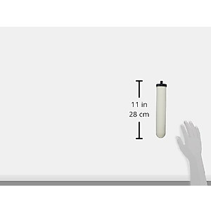 Doulton W9124020 Chlorasyl Ceramic 10 Inch Filter Replacement Candle