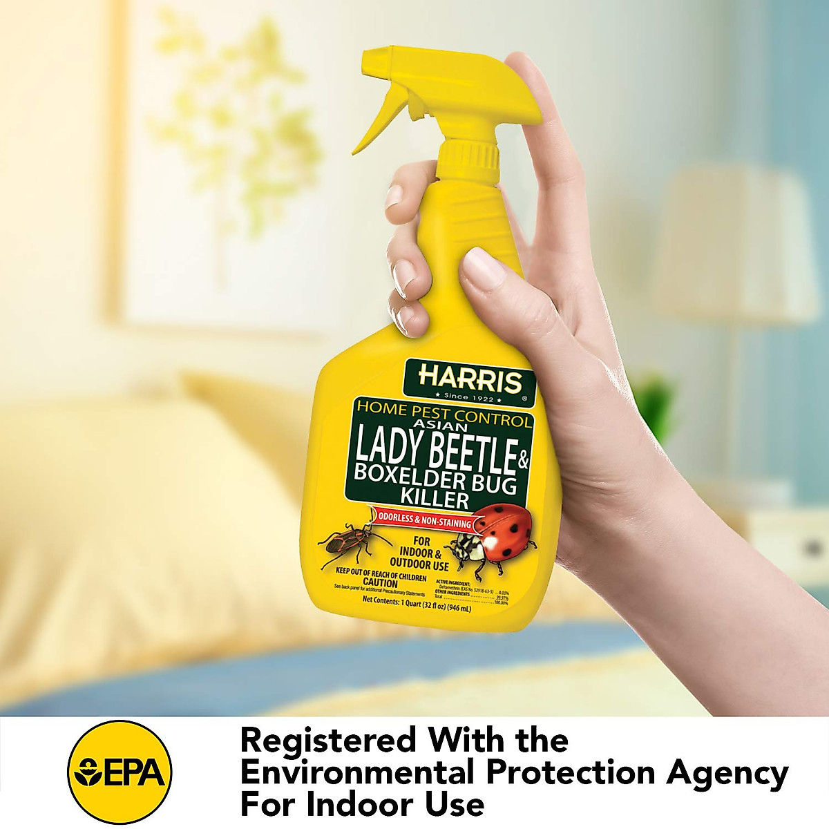 Harris Asian Lady Beetle and Box Elder Killer, Liquid Spray with Odorless and Non-Staining Extended Residual Kill Formula (32oz)