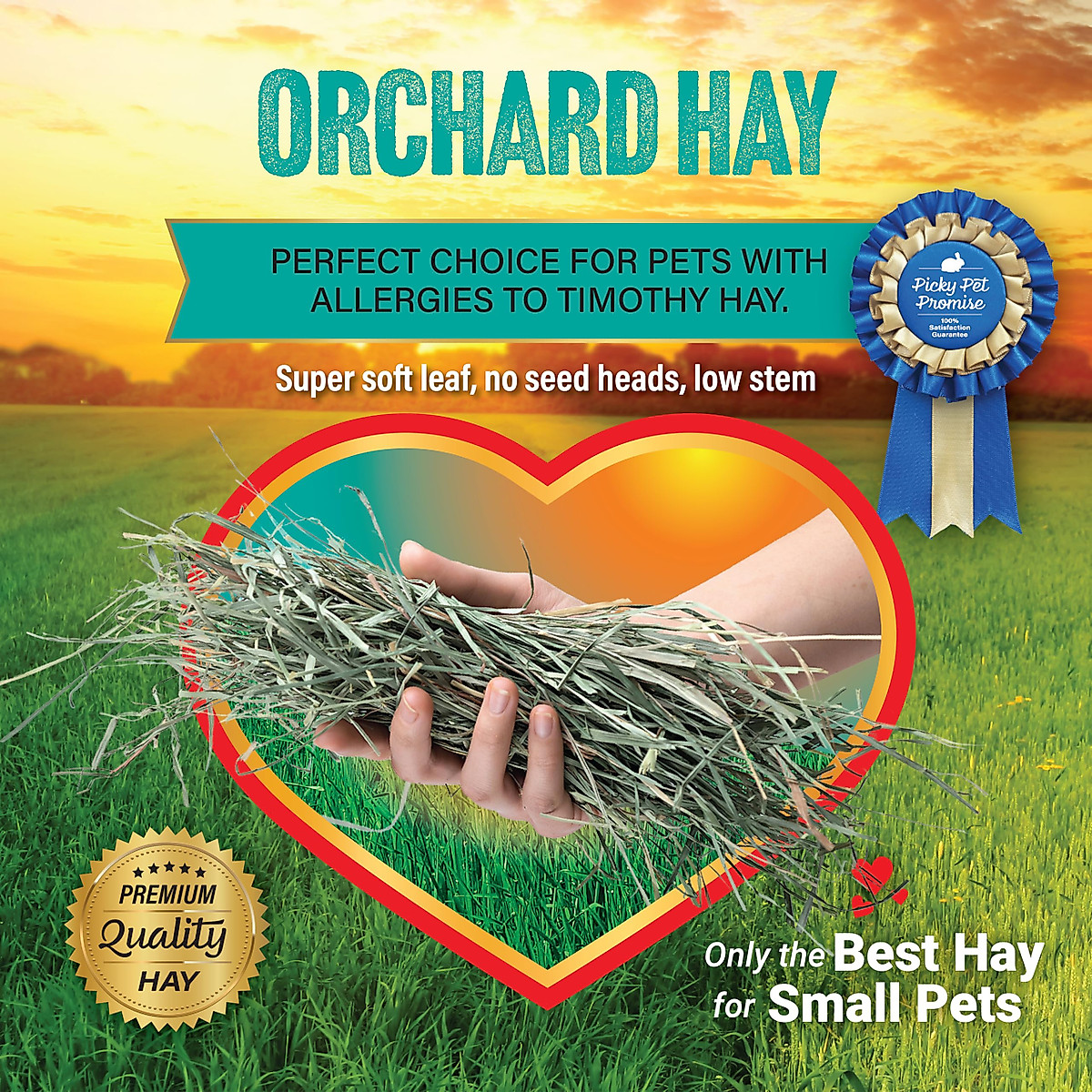 Small Pet Select Orchard Grass Hay Pet Food for Rabbits, Guinea Pigs, Chinchillas and Other Small Animals, Premium Natural Hay Grown in The US, 5 LB