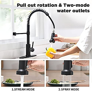 Black Kitchen Faucet Kitchen Sink Faucet with Sprayer - Kitchen Faucet with Pull Down Sprayer