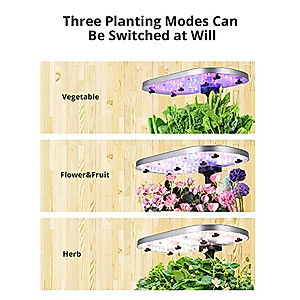 JustSmart WiFi 12 Pods Hydroponics Growing System with APP Controlled, Indoor Garden Up to 30" with 30W 120 LED Grow Light, Silent Pump System, Automatic Timer for Home Kitchen Gardening, GS1 Basic